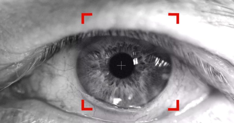 Eye Calligraphy Project - Michel Paysant - Naima Editions