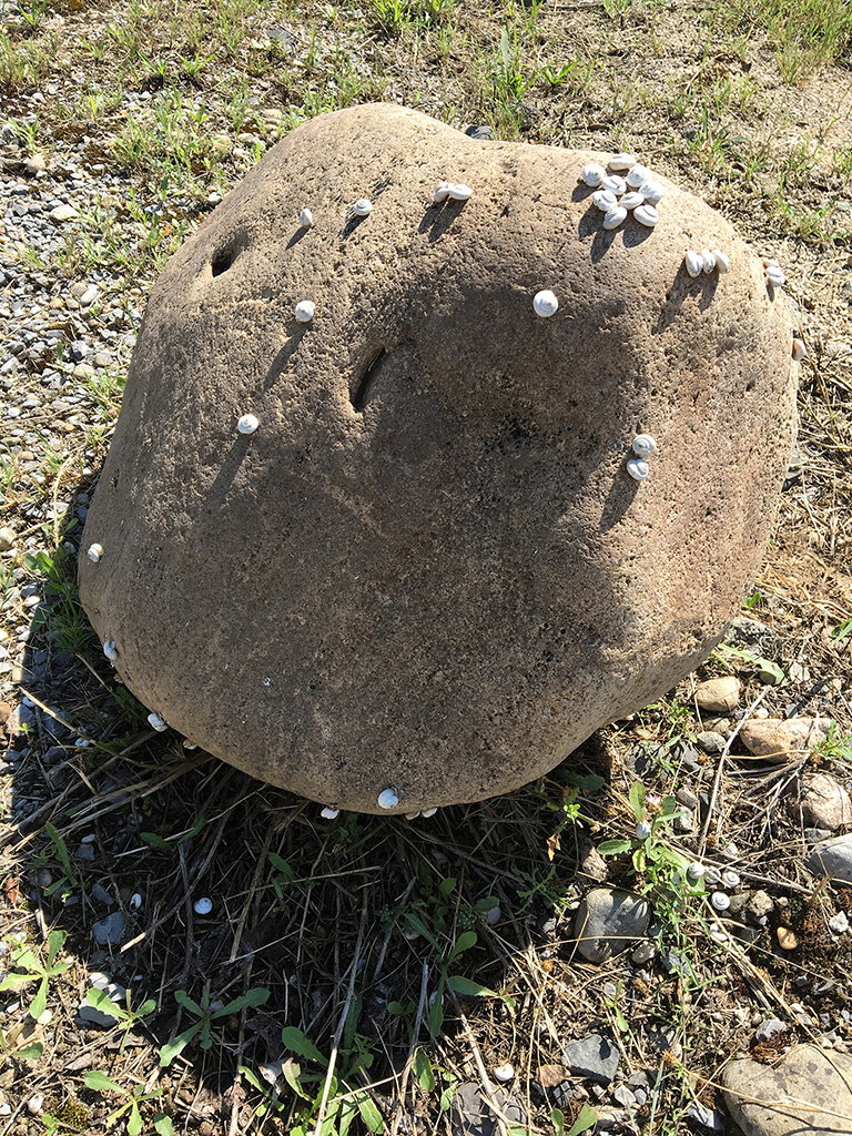 Una temporada en Ardèche – Éditions Naima