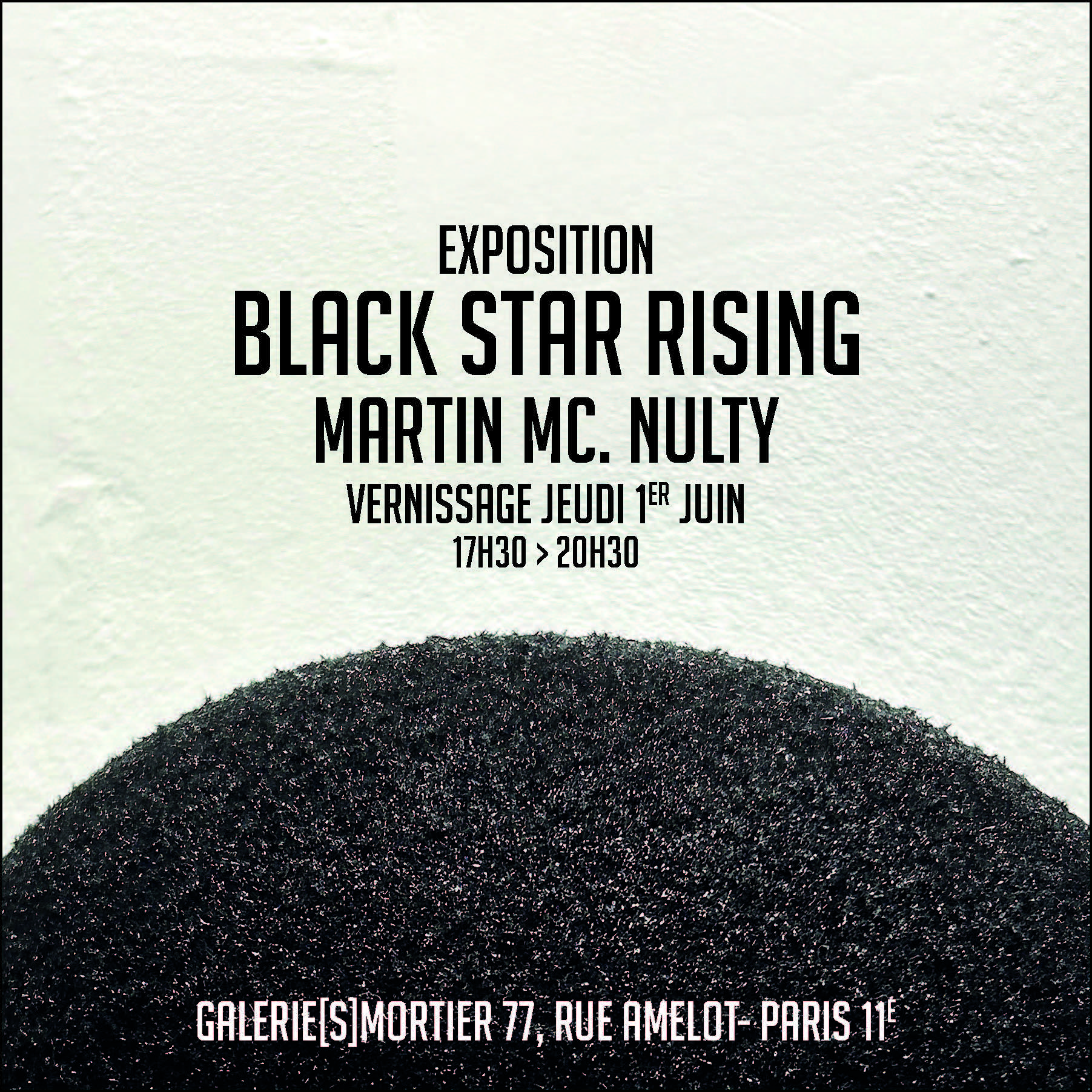 Exposition de Martin Mc Nulty à la galerie[s]mortier à Paris - Naima ...